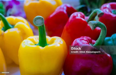아름 다운 노란색 빨간색과 녹색 피망 또는 파프리카 고추 또는 달콤한 고추를 닫습니다 이 고추 원래 멕시코와 중앙 아메리카 개체 그룹에 대한 스톡 사진 및 기타 이미지