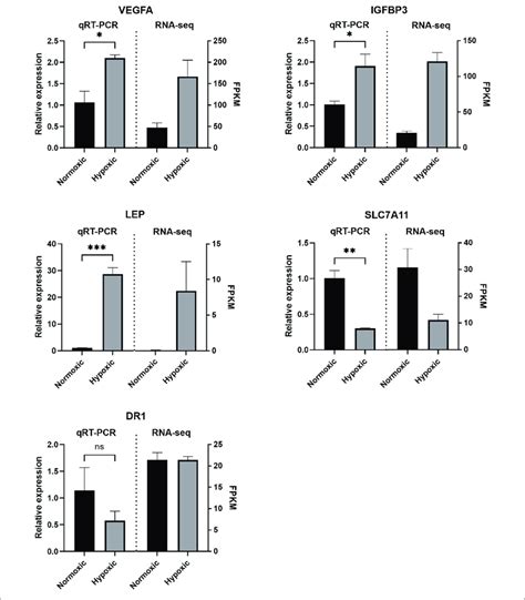 validation of the rna sequencing rna seq data the quantitative