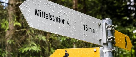 Ngrx Use Cases Part Ii Working With Lists Dev Community