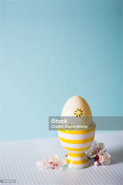 근접 촬영 화려한 파스텔 파란색 배경에 흰색 꽃 나무 가지에 둘러싸인 활기찬 현대 달걀 스탠드에서 부활절 달걀을 그렸다 가정 생활에 대한 스톡 사진 및 기타 이미지 Istock