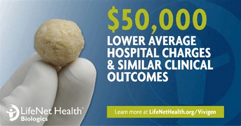 Brooke Cortes Mba On Linkedin Vivigen Cellular Bone Matrix And