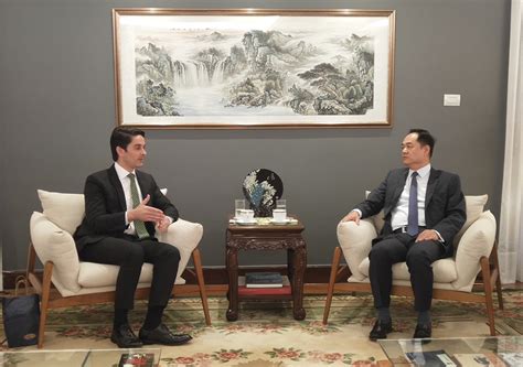 驻巴西大使杨万明会见巴西政府关系研究院院长费尔南德斯