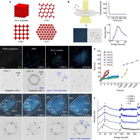 Visualization Of Heterogeneous Nucleation And Growth Of Ice Ic Using In