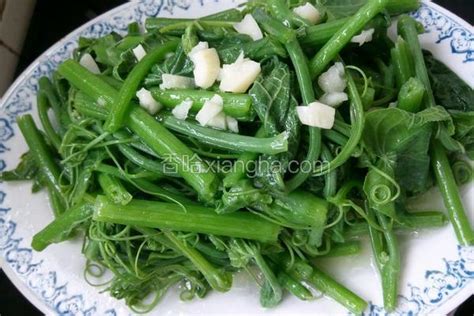 清炒佛手瓜苗的做法 菜谱 香哈网