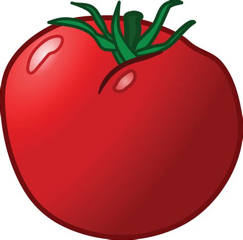 Tomato Clipart At Getdrawings Free Download