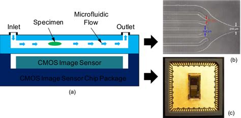 Lensless Microfluidic Imaging System Structure A Proposed Integrated Download Scientific
