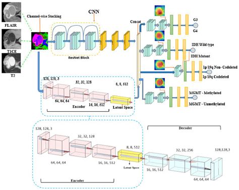 Figure 1 From Comprehensive Genomic Subtyping Of Glioma Using Semi Supervised Multi Task Deep