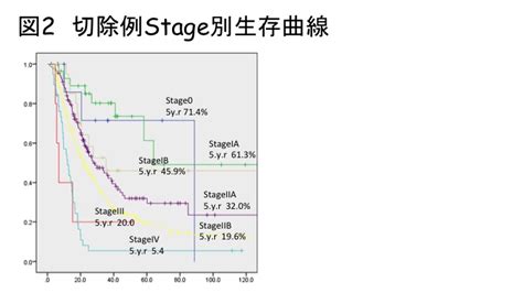 膵癌 横浜市立大学医学部 消化器腫瘍外科学公式