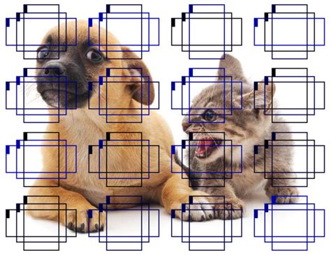 13 3 Multiscale Object Detection — 《动手学深度学习》 0 1 0 Documentation