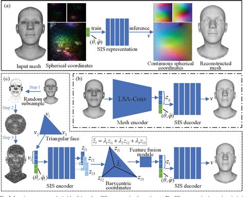 Learning Continuous Mesh Representation With Spherical Implicit Surface