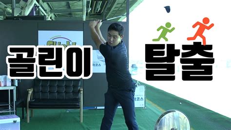 스윙모델조c 특집 10년치 골프레슨 영상 하나로 정복하기 Youtube