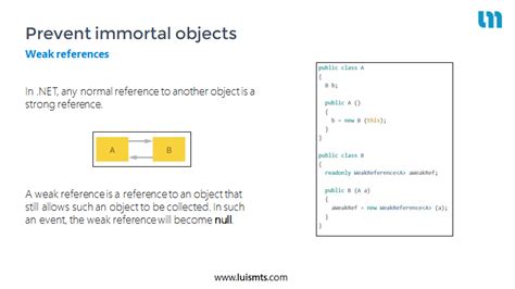 Xamarin Code Quality Performance Luis Matos