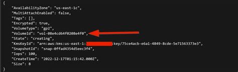 Ebs Volume Encryption With Aws Cli Using Aws Managed Key Dev Community