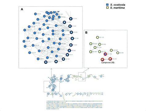 gnps clusters based with lc ms ms data of ethyl acetate extract of s