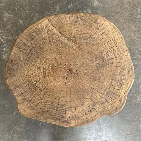 Elm Chop Block Table Chairish