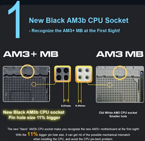6 Facts About Amds Black Am3b Socket The Am3 Vs Am3 Match