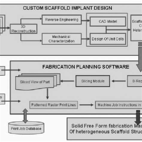 Flow Chart For Designing Process Of Tissue Scaffold Download