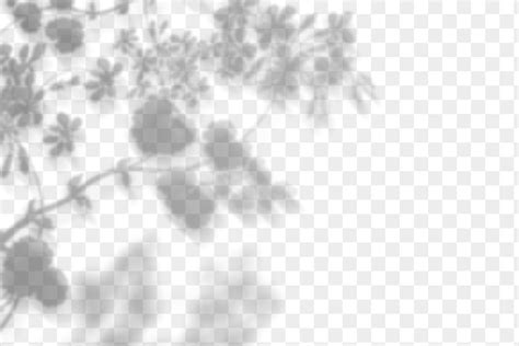 Png Flower Shadow Background Botanical Premium Png Rawpixel