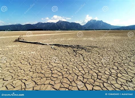 Dried Up Lake