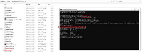 关于对 Tomcat 进行小版本升级的快速解决方案 Javaer1995 博客园