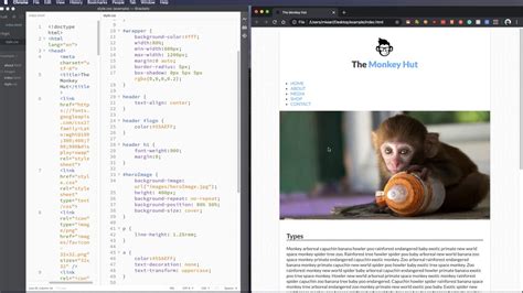 Width And Height With Css Youtube