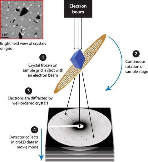 Controlling Phase In Colloidal Synthesis Acs Nanoscience Au