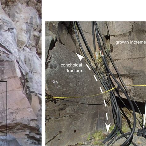 Difference Of Fracture Length Measurement On The Tls And The Scanline