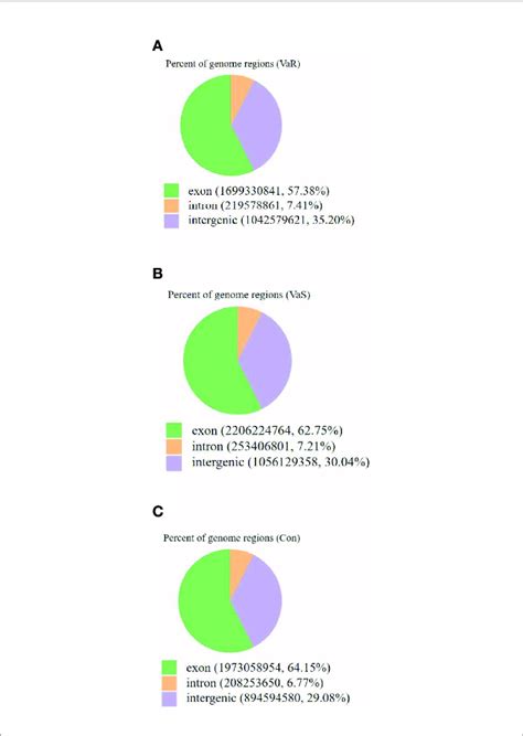 The Distribution Of Sequencing Reads In The Genomic Region The