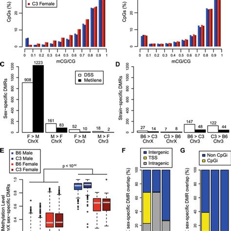 Sex Impacts Global Distribution Of Cpg Methylation On The X Chromosome