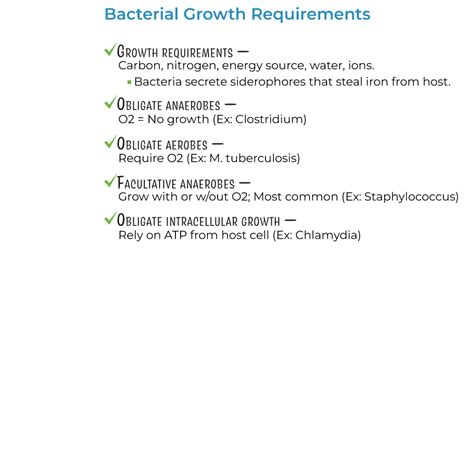 Immunology Microbiology Glossary Bacterial Growth Curve Ditki Medical And Biological Sciences