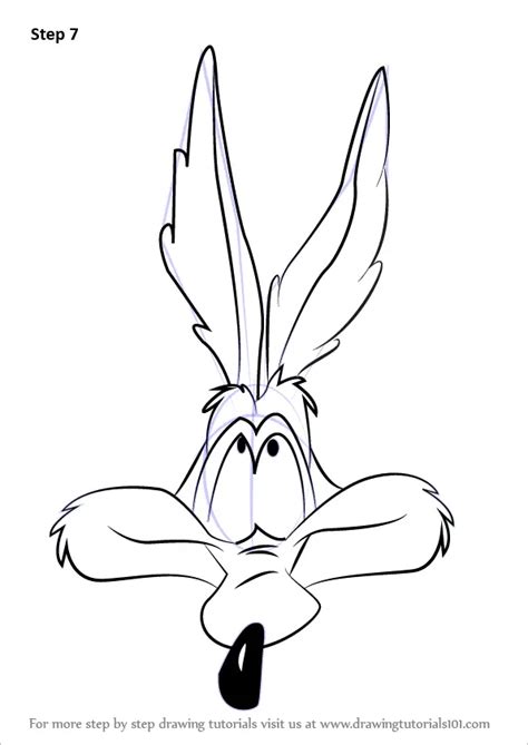 Learn How To Draw Wile E Coyote Face Wile E Coyote Step By Step