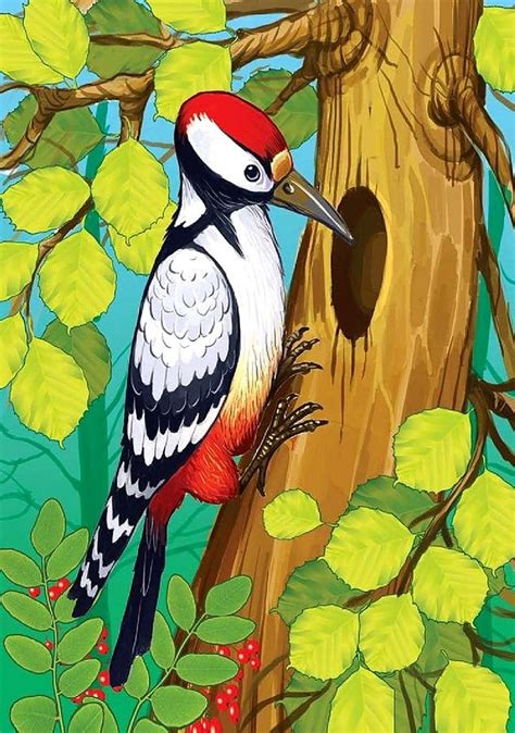 Дятел картинка для детей