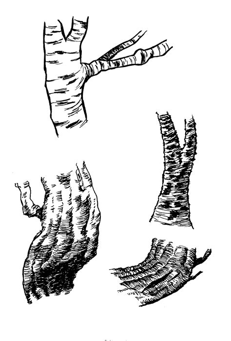 Brush Drawing Tree Drawing Ink Drawing Landscape Drawing Tutorial Landscape Drawings Eye