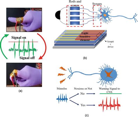 Hybrid Perovskite Based Memristor Devices Intechopen