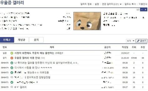 우울증 갤러리서 만난 여중생과 성관계한 20대…미성년자인 줄 알았다