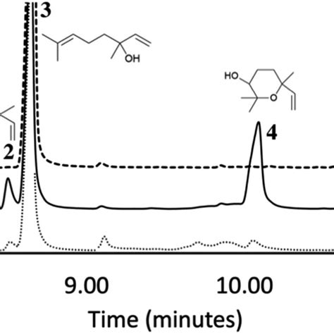 Gc Ms Chromatogram Of A Reaction With P450 Bm3 And Linalool Product 1 Download Scientific