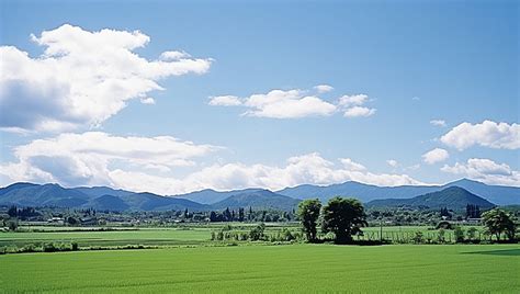 들판이 있는 넓은 녹색 들판 나무 들판 산 배경 일러스트 및 사진 무료 다운로드 Pngtree