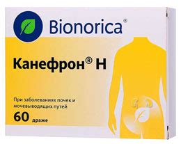 Лекарства для почек на травах, названия препаратов