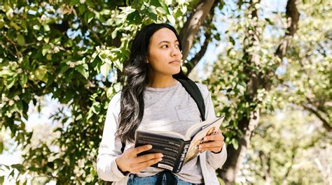 What Is A University Pathway Program Amber