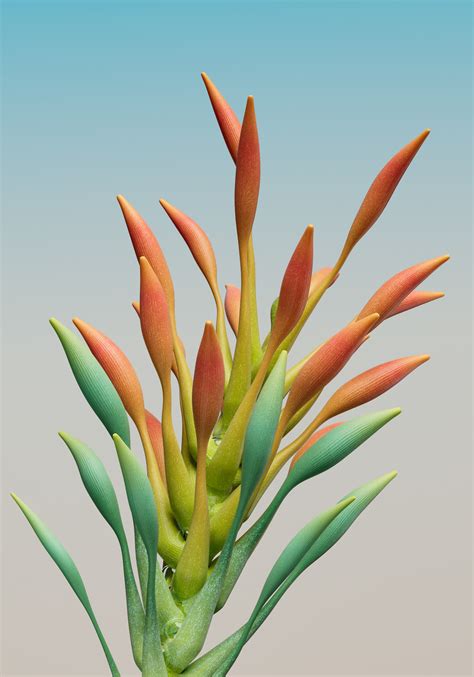 2022 Krpl Season2 Branding On Behance