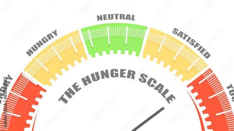 Hunger Scale With Arrow Measurement Value Chart Indicating Eat Stages To Evaluate Level Of