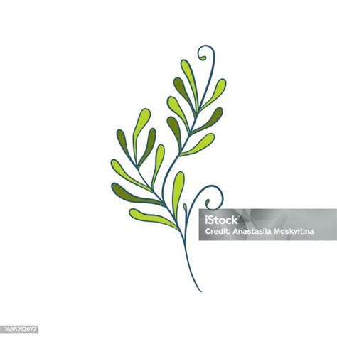 로즈마리 만화 스타일의 녹색 장식 격리된 벡터 아이콘 포장을 위한 그래픽 요소 로고 로즈마리 제품 가을에 대한 스톡 벡터 아트