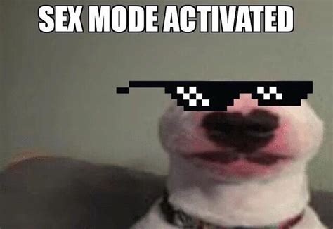 Help Guys What Is Sex R BeatMeatToIt