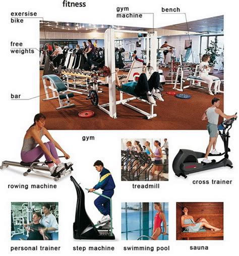 В спортивном зале In A Gym лексика и слова по теме Английский язык