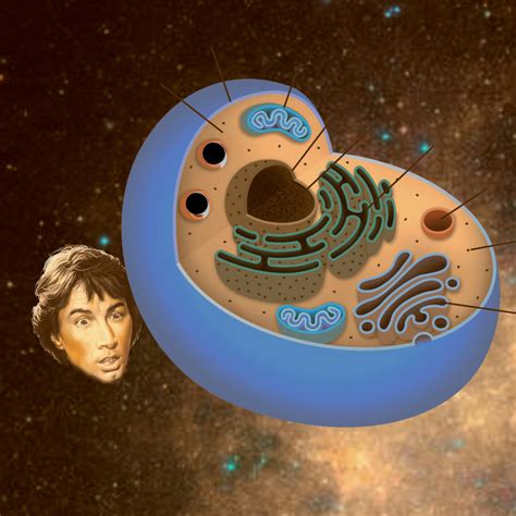 Bad Astronomy Synthetic Biology Artauds Skeleton Makeworldgooderrecordings