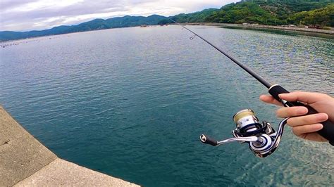 秋の堤防はパラダイスすぎる… Youtube