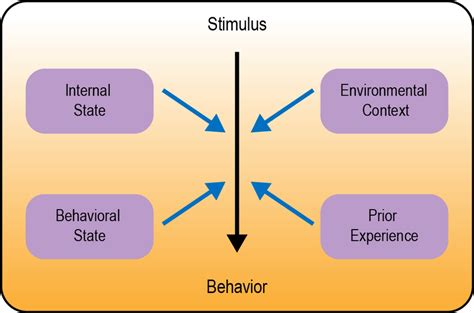 Overview Of Different Types Of Behavioral Modulation Neural Circuits Download Scientific