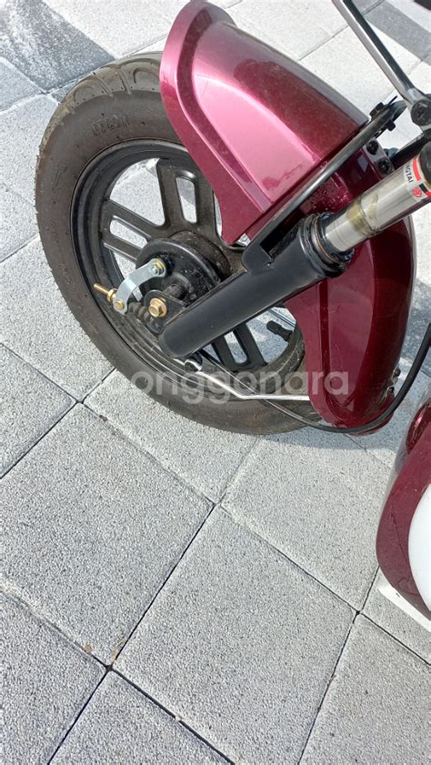 삼륜전동스쿠터 125cc 이하 중고나라
