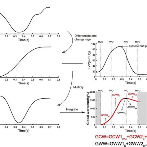 The Algorithm Of Ventricular Myocardial Work By Incorporating Global