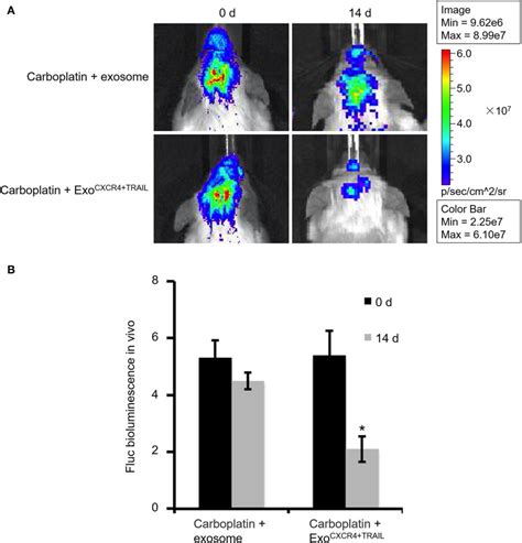 The Antitumor Effect Of Gene Engineered Exosomes In The Treatment Of Brain Metastasis Of Breast